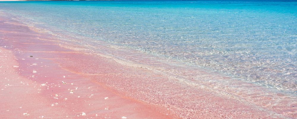 Explore the Stunning Pink Sand Beaches in the Philippines
