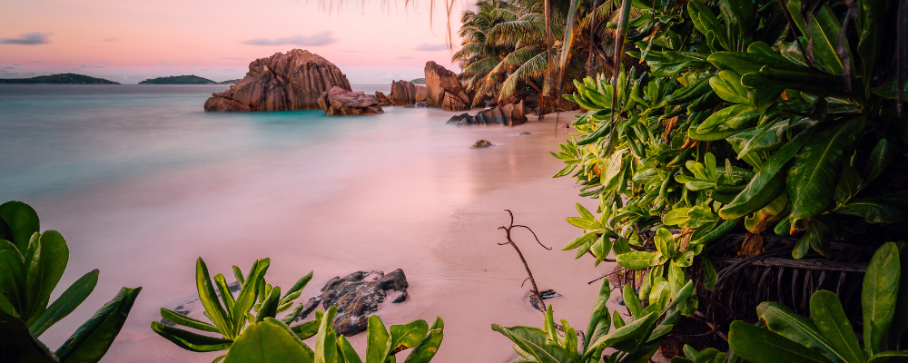 Best Time to Visit Seychelles in 2025: A Month Vise Travel Guide