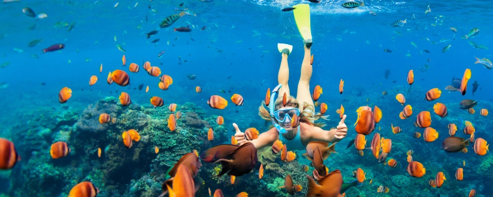 Best Things to Do in the Maldives: Surf, Sport, Spa Days & More.