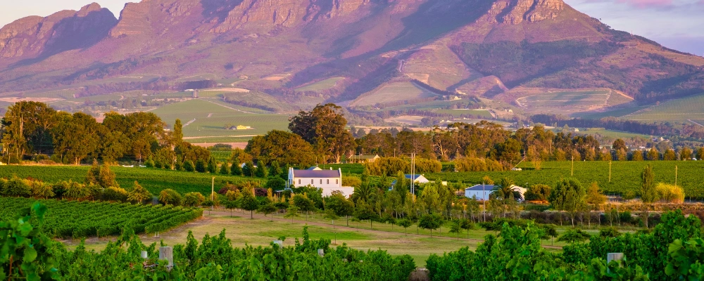 15 Things to Do in Cape Town: Your Ultimate Guide for 2025.