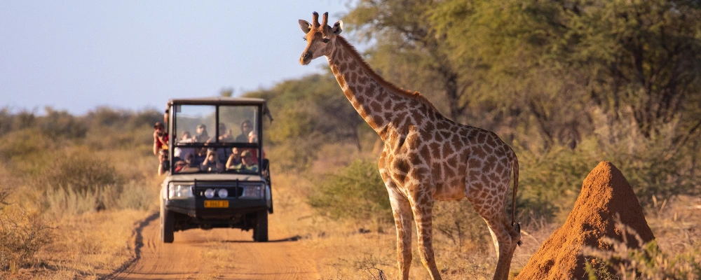Where’s Hot in January? Find The Best 20 Winter-sun Destinations