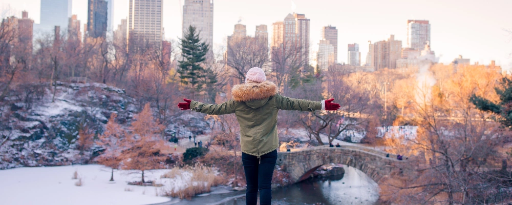 New York in January | Weather, Top Attractions, and Travel Tips