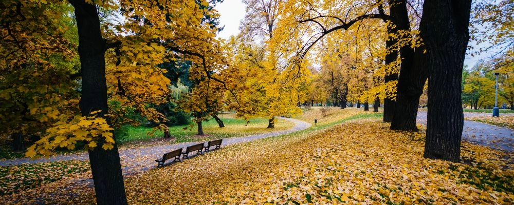 Things to Do in Prague: Explore Top Attractions, Gems, & Must-See